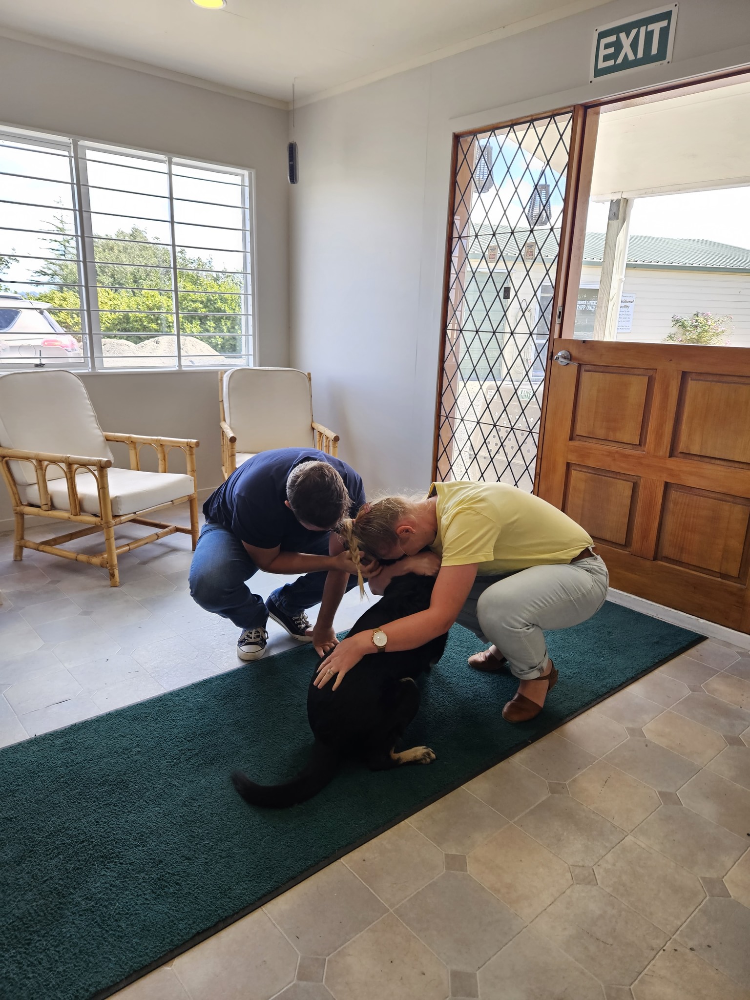 Reunited In New Zealand - Lilly And Rex 🐶 ️🇳🇿