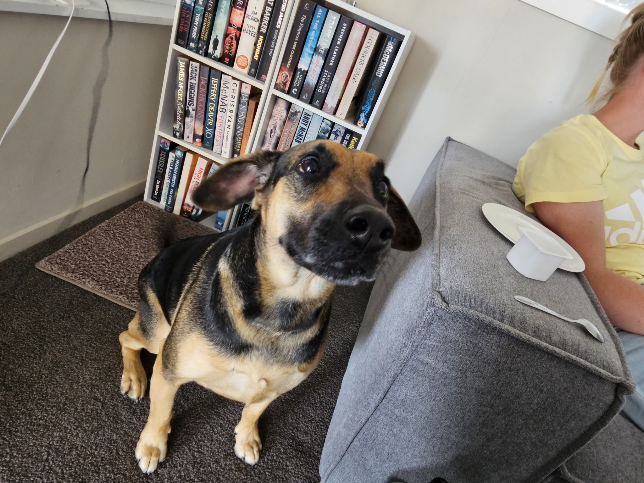 Reunited In New Zealand - Lilly And Rex 🐶 ️🇳🇿