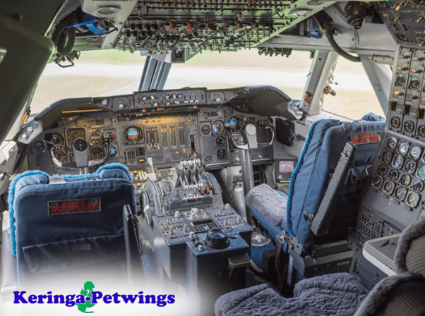 What A Pilot Once Told Me About Pets On Board 🐶🐱🛫